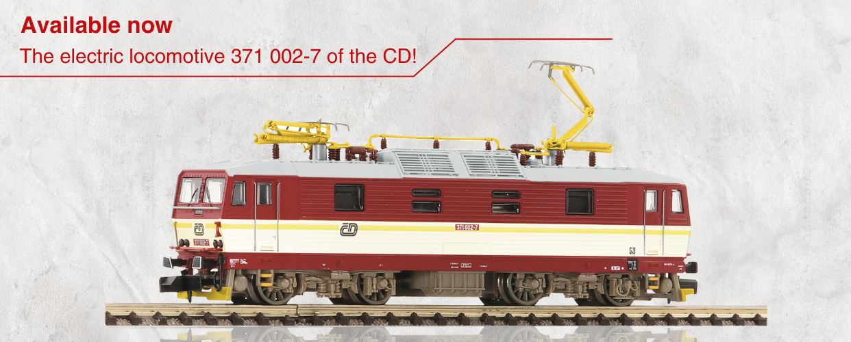 FLEISCHMANN Modello ferroviario